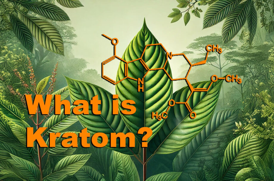 What is Kratom? - Canna Health Amsterdam
